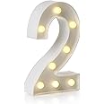 anso LED Alphabet Letter & Number Light Sign Decorations Lamp for Home ...