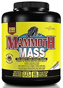 Interactive Nutrition Mammoth 2500 2.2kg Weight Gain Vanilla shake ...