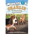 Charlie the Ranch Dog : Drummond, Ree, deGroat, Diane: Amazon.in: Books
