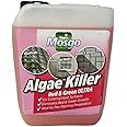 Mosgo Red & Green Algae & Moss Killer 5 Litre : Amazon.co.uk: Garden
