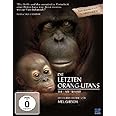 Meine wilden Kinder: Ein Leben für die letzten Orang-Utans : Signe ...