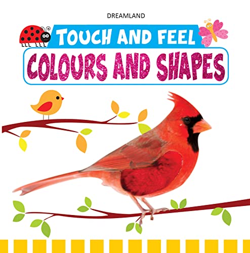 Buy Colour and Shapes Touch and Feel Book to Help Children Learn ...
