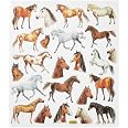 Hobby Design Sticker * Pferd - Pferde - Fohlen * Aufkleber 3452315 ...
