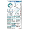 EKG pocketcard Set : Börm Bruckmeier Verlag GmbH: Amazon.de: Bücher