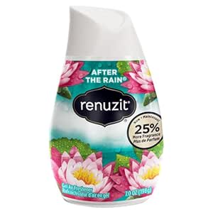 Renuzit Adjustables Air Fresheners Solid Gel After the Rain Scent, 198g ...