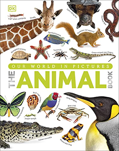 The Animal Book: A Visual Encyclopedia of Life on Earth: Amazon.co.uk ...