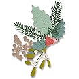 Sizzix Thinlits Die Set 662571, Winter Foliage by Debi Potter, 8 Pack, Multi Colour, One Size ...
