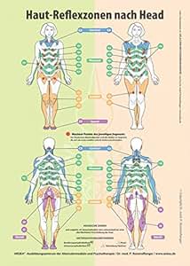 Poster der Reflexzonen: die Headschen Zonen: Amazon.de: Küche & Haushalt