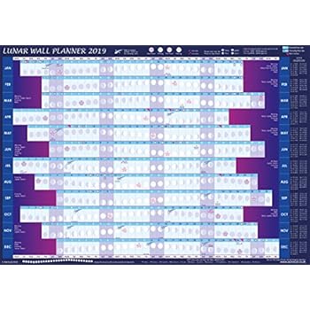 A3 novice allotment planner gardener's/beginner's vegetable growing ...