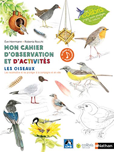 activités sur les oiseaux