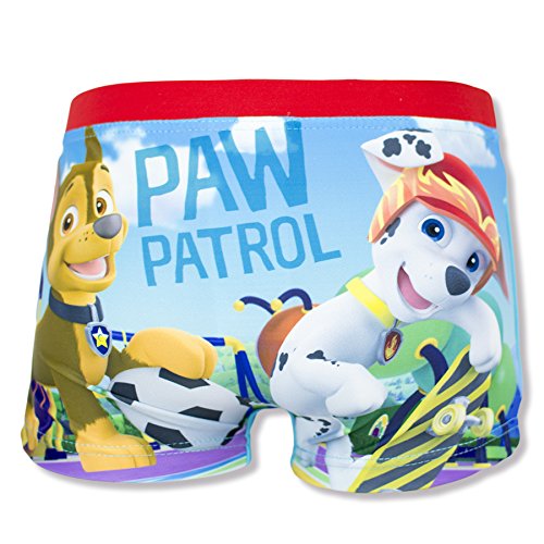 Buy Nickelodeon Official Paw Patrol Boys Swimming Boxers, Briefs 2-6 ...