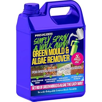 Spear & Jackson Spray and Leave Concentrated Mould, Algae and Moss ...