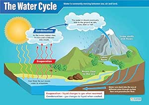 Daydream Education Poster educativo del ciclo dell'acqua [in inglese ...