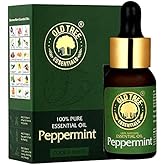 Old Tree Lavender Essential Oil for Home Fragrance (15ml) - Pure ...