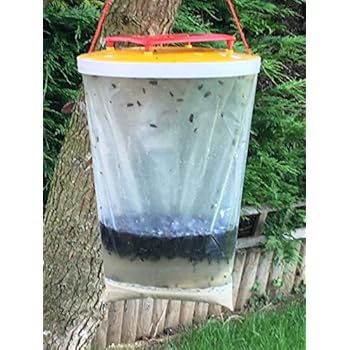 Genuine Red Top Fly Trap (Pack of 2): Amazon.co.uk: Garden & Outdoors