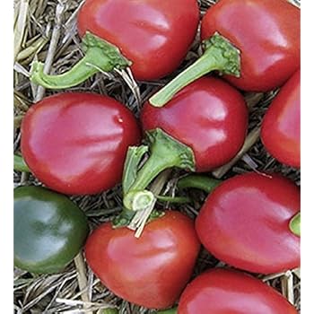 Ungarischer Kirschpaprika/Chili 10 Samen: Amazon.de: Garten