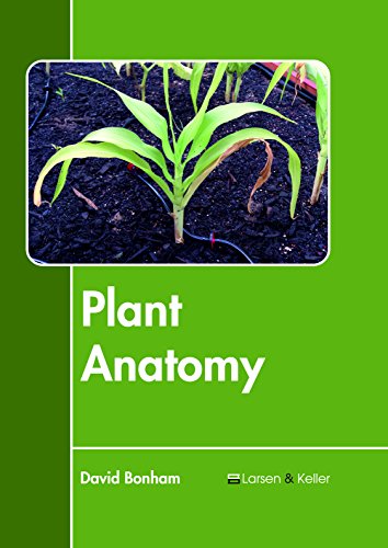 Buy Plant Anatomy Book Online at Low Prices in India | Plant Anatomy ...
