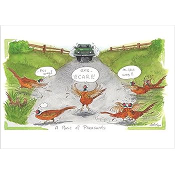 Happy birthday - Humorous Welsh Language Birthday Card: Amazon.co.uk ...