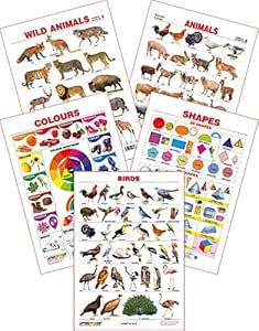 Spectrum Educational Large Wall Charts (Set of 5) : ( Wild Animals ...