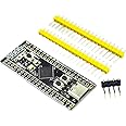 STM32F411CEU6 Blackpill Development Board : Amazon.in: Computers ...