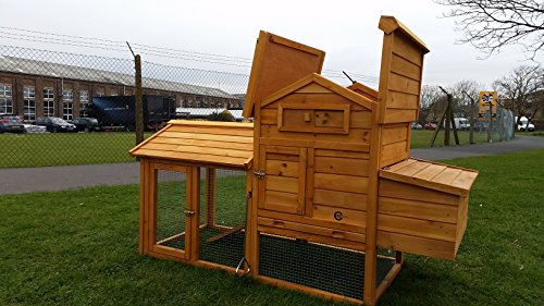 Cocoon Chicken Coop Chicken Coops Hen chicken House Ark Poultry Run ...