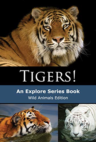 Tigers!: Bengal, Siberian, White Tigers & More! Explore Series Wild ...