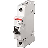 ABB 10K MCB 20A SP MCB Single Pole C Curve (Pack of 1) - SW201M-C20 : Amazon.in: Home Improvement