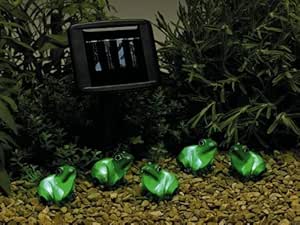 Frog Solar Light String: Amazon.co.uk: Garden & Outdoors