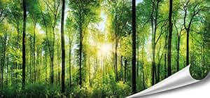 Amazon.de: PMP-4life"Wald" hochauflösendes Wald-Poster XXL | 140 cm x ...