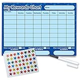 Reward Charts : Amazon.co.uk