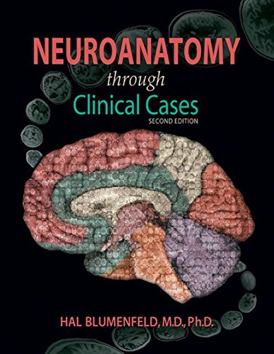 Buy Neuroanatomy through Clinical Cases Book Online at Low Prices in ...