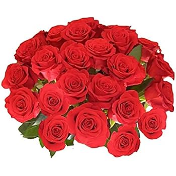 Buy Fourwalls Artificial Rose Bunch (12 Flowers, Red) Online at Low ...