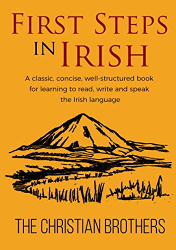 First Steps in Irish: A classic, succinct, book for learning to read ...