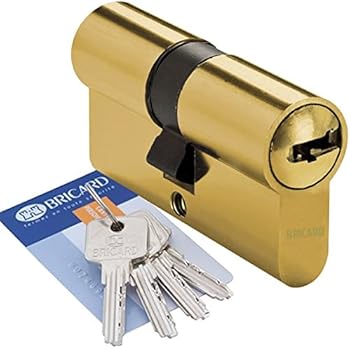 Bricard - Cylindre de porte 40 x 30 mm BRICARD MEDIAL Barillet haute ...