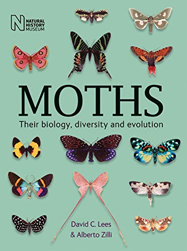 Buy Moths: Their biology, diversity and evolution Book Online at Low ...