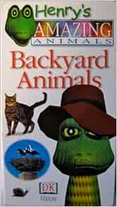 Backyard Animals (Henry's Amazing Animals): Amazon.co.uk: DK Publishing ...