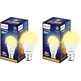 PHILIPS 22-watt LED Bulb |AceBright High Wattage LED Bulb|Base: B22 ...