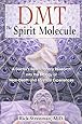 DMT: The Spirit Molecule: A Doctor's Revolutionary Research into the ...