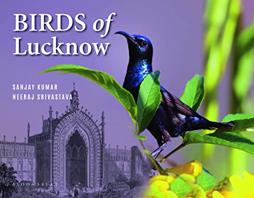 Buy Birds of Lucknow Book Online at Low Prices in India | Birds of ...