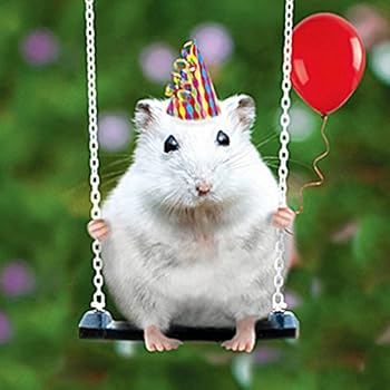 Hamster Birthday Card "Make A Wish": Amazon.co.uk: Kitchen & Home