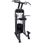 Bodylean Fitness Multi Purpose Chin Up Dip Assisted Machine Lebra ...