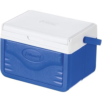 Buy Cello Chiller Ice Box- 8 L Online at Low Prices in India - Amazon.in