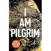 I Am Pilgrim : Hayes, Terry: Amazon.co.uk: Books
