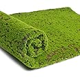 LIOOBO Artificial Moss Mat Fake Grass Turf Lawn Plants Lichen for Home ...