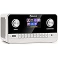 Auna Radio Portable Bluetooth et Rechargeable, Numérique Dab/Dab+/FM et ...