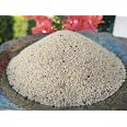 Super Food of Uttarakhand - Natural & Pure Jhangora Rice/Barnyard ...