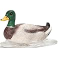 Schleich Drake Swimming : Amazon.co.uk: Toys & Games