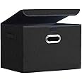 DOUBLE R BAGS Collapsible Storage Box with Lid (Black, 43x30x30 cm ...