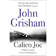 Calico Joe: An unforgettable novel about childhood, family, conflict ...