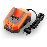 Fuxtec Batteria ioni di Litio 20V 2Ah (40Wh) E1B2AH - Tecnologia agli ...